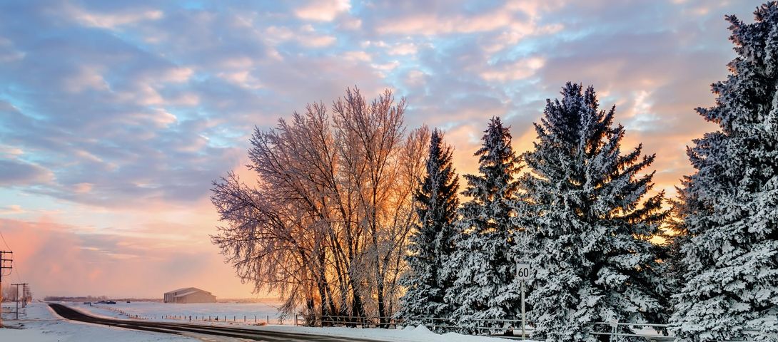 From Fargo to Saskatoon: Tiny Jewish communities team up to build ...