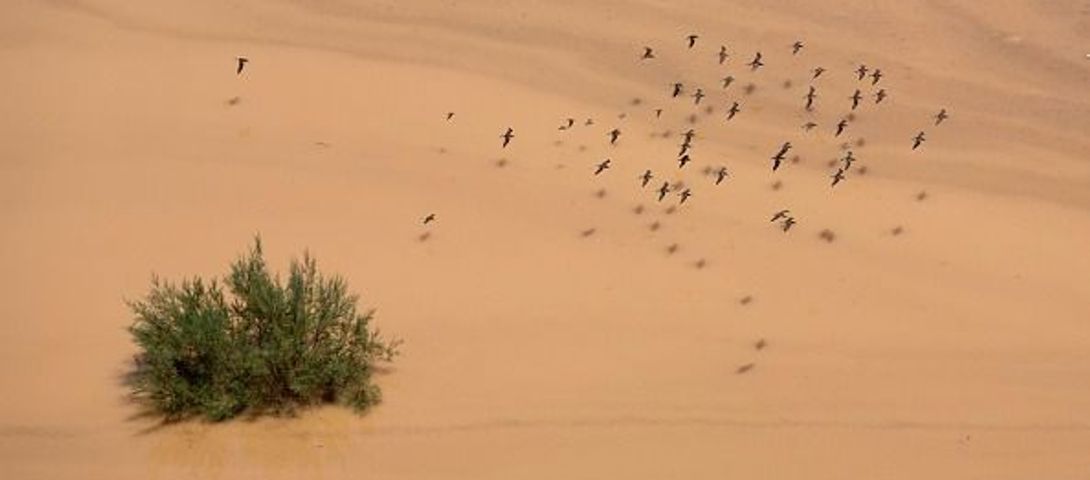 Can a Dry Country Like Israel Quench the World's Thirst? – The Forward