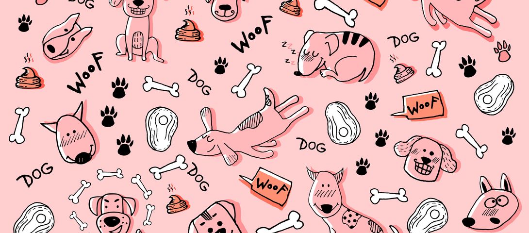 Kosher-for-Passover dog food? I wouldn’t recommend it – The Forward