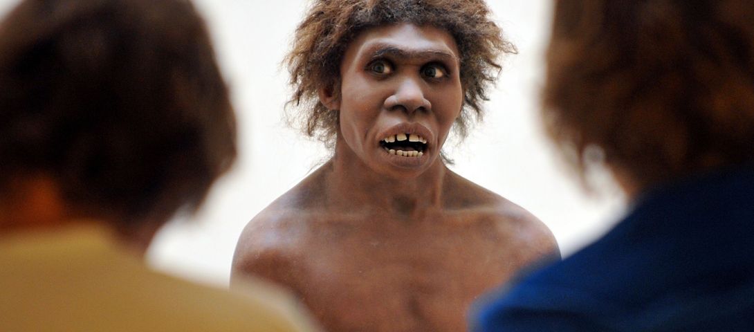 Evidence Of Human-Neanderthal Hybrids Found In Israel – The Forward
