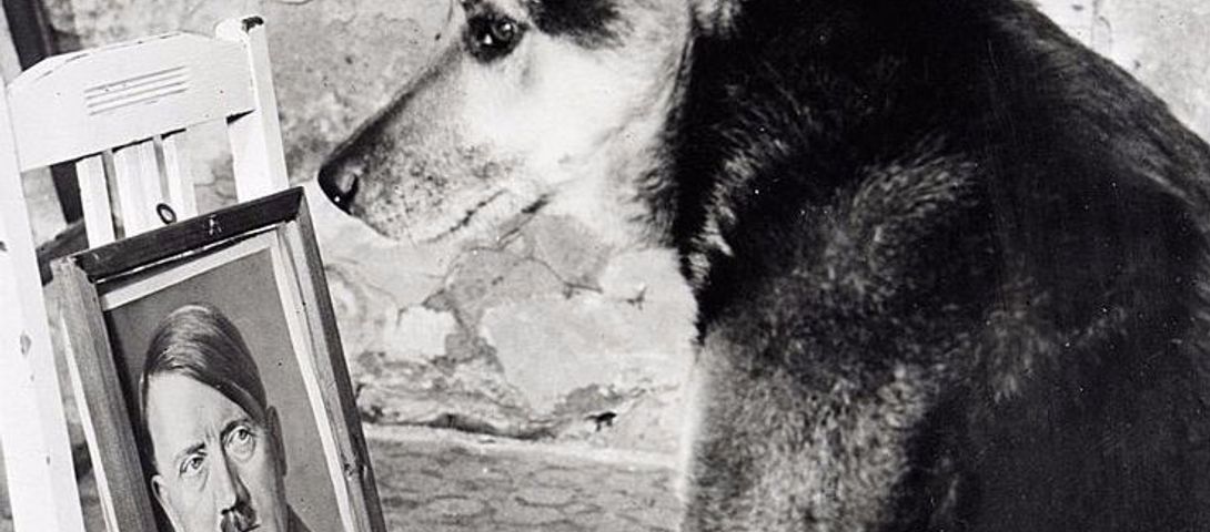 Is It A Hate Crime To Train A Dog To Do A Nazi Salute? – The Forward