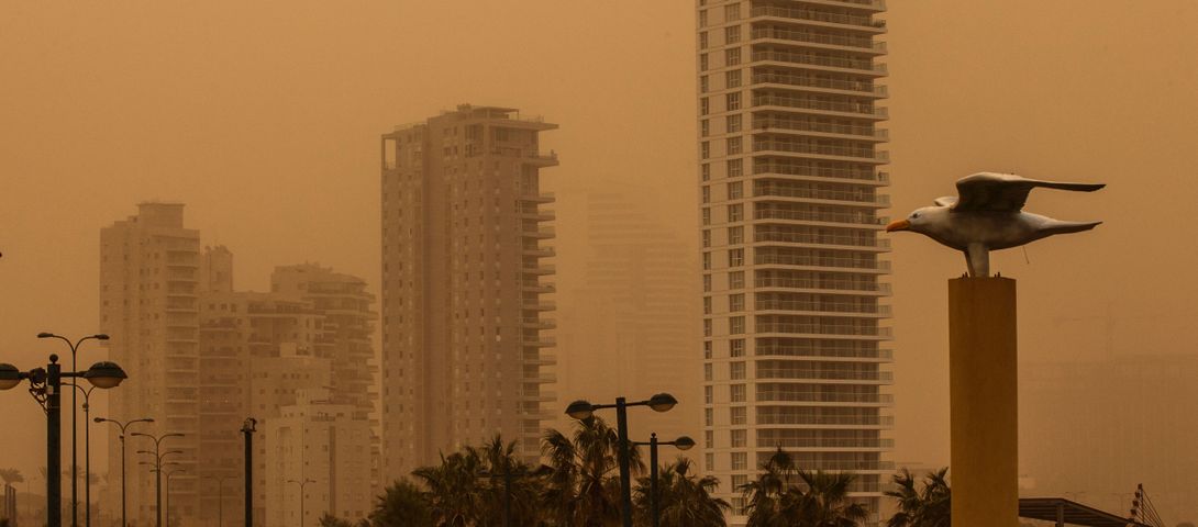 Four Years Of Drought Leaves Israel Parched – The Forward