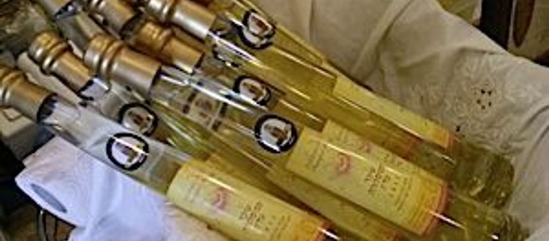 Our Favorite New Israeli Wines – The Forward