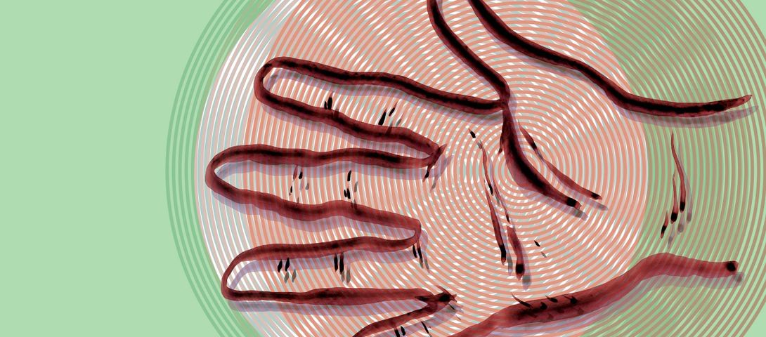 Schnorrers And How They Got To Be That Way – The Forward