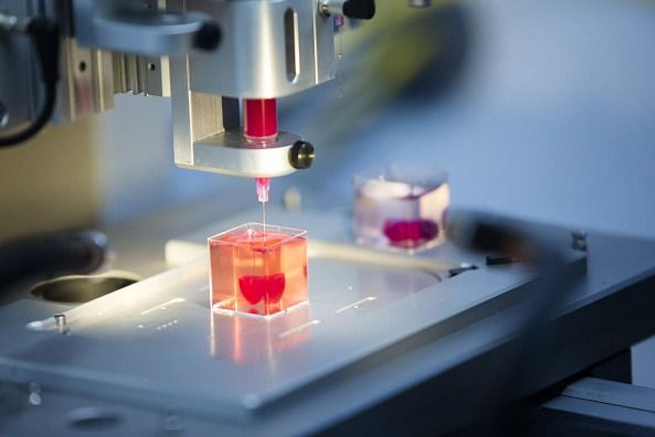 Israeli Scientists Print 3D Heart With Human Vessels