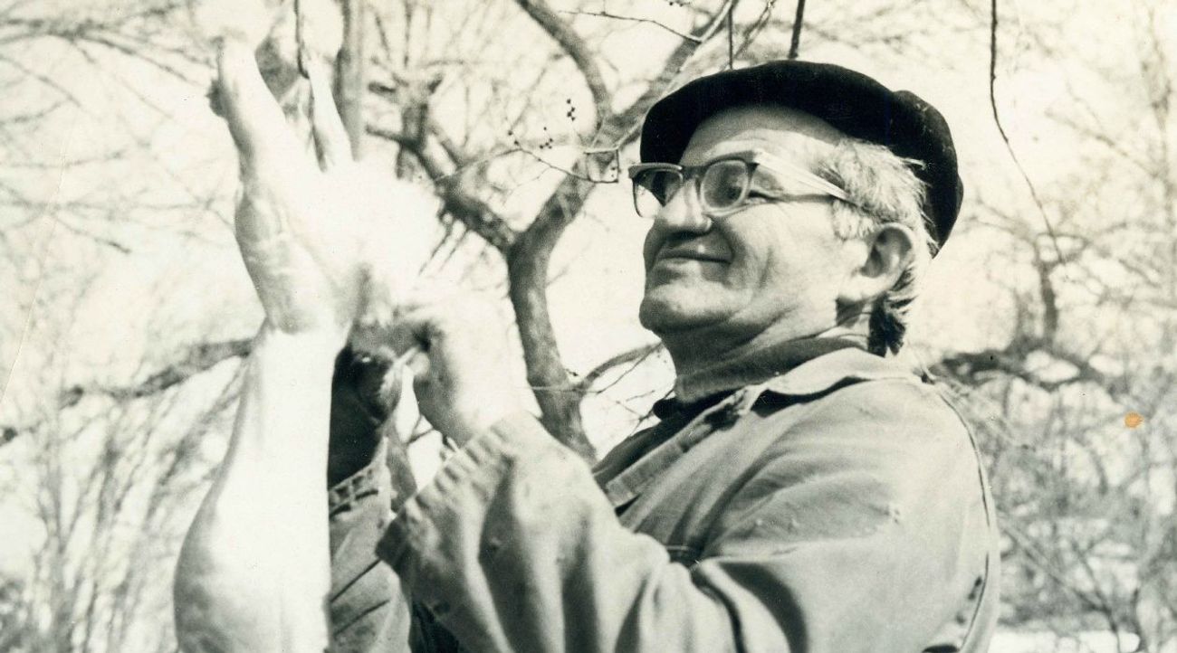 My Life in Exile – The Forward