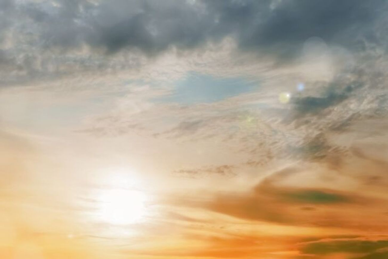 Emilia Diamant – The Forward