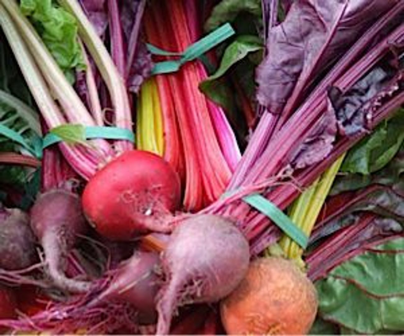 CSA Unboxed: Beets – The Forward