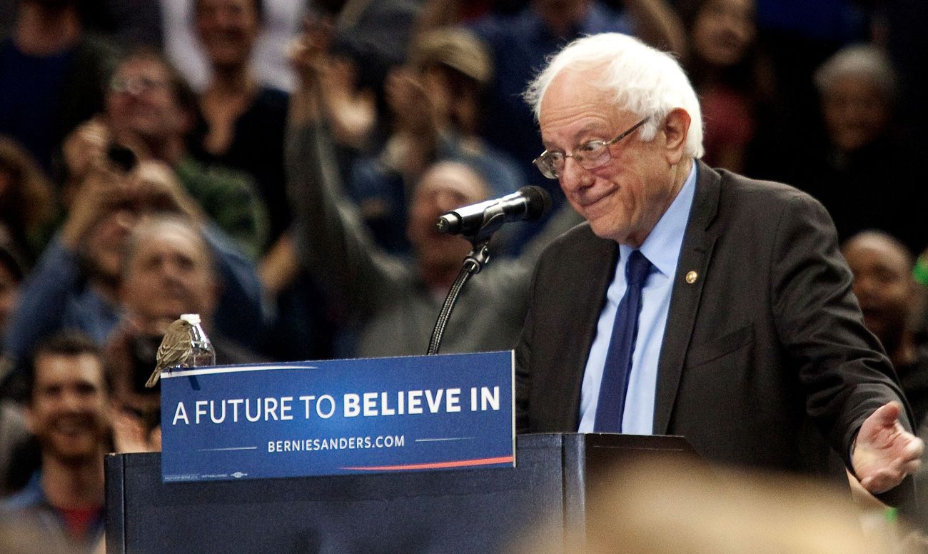 ‘Bernie or Bust’ Is Self-Indulgent, Stubborn — and Dangerous – The Forward