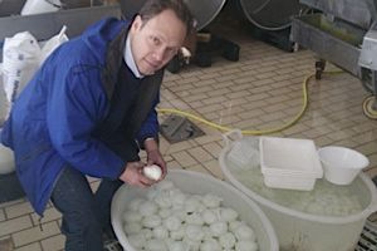 Chatting Cheese with the Kosher Cheese Guy – The Forward