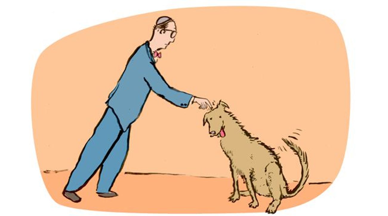How Dogs Went From Feared Enemy to Jew's Best Friend – The Forward