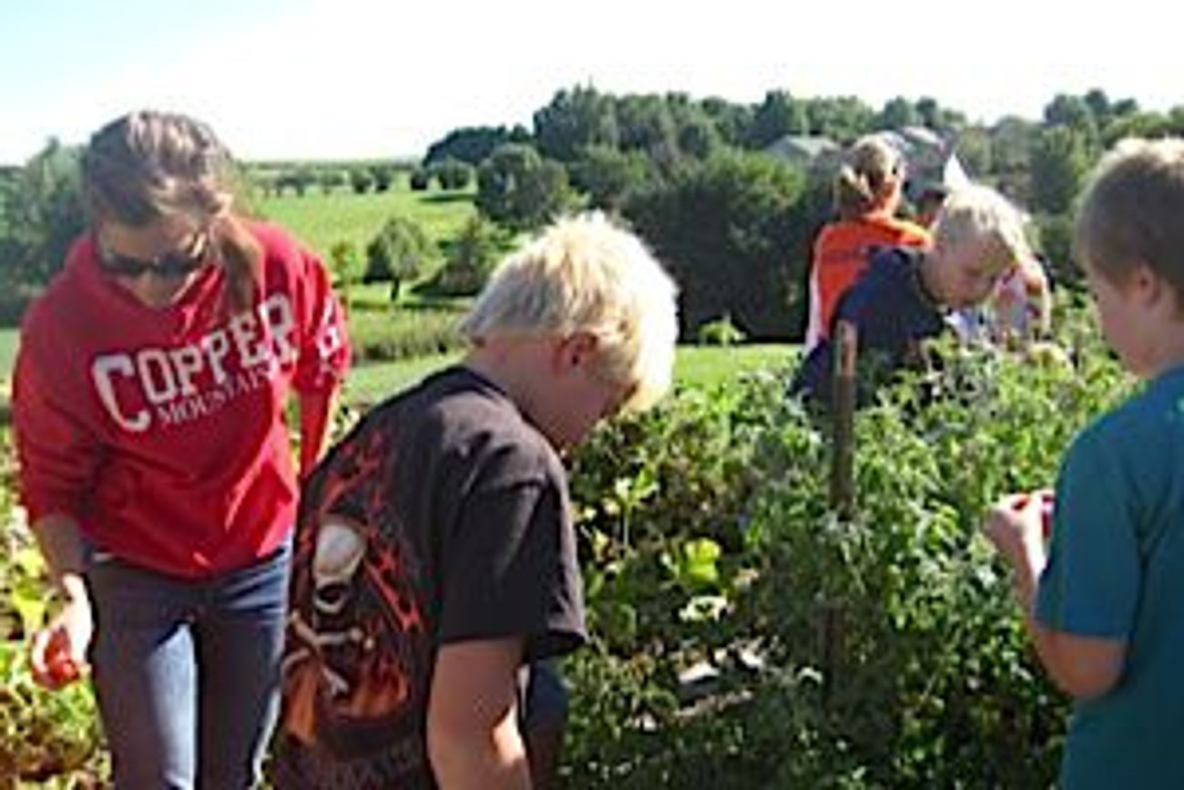 FoodCorps Members Take on Farm to School Mission – The Forward
