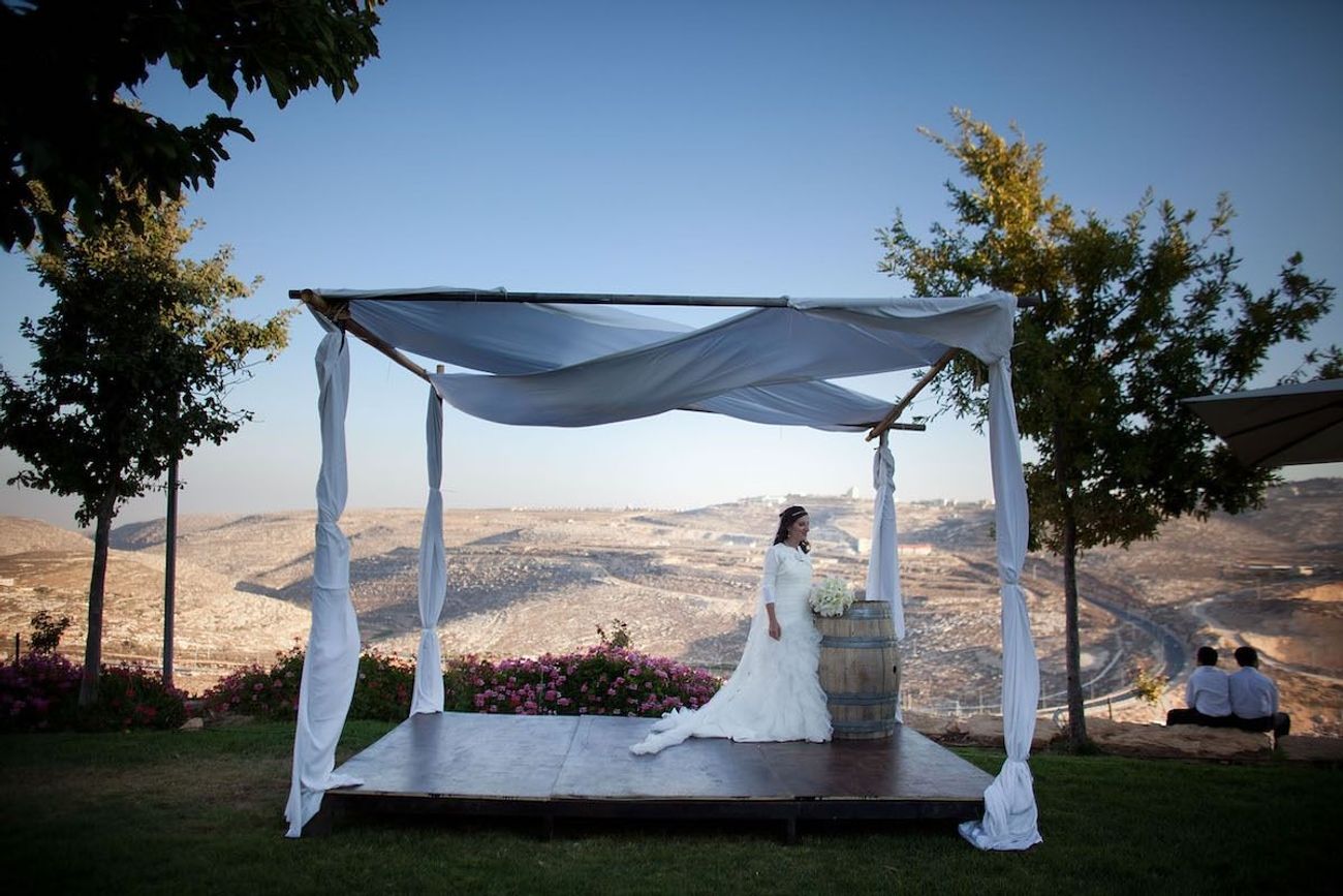 Kate Rosenberg – The Forward