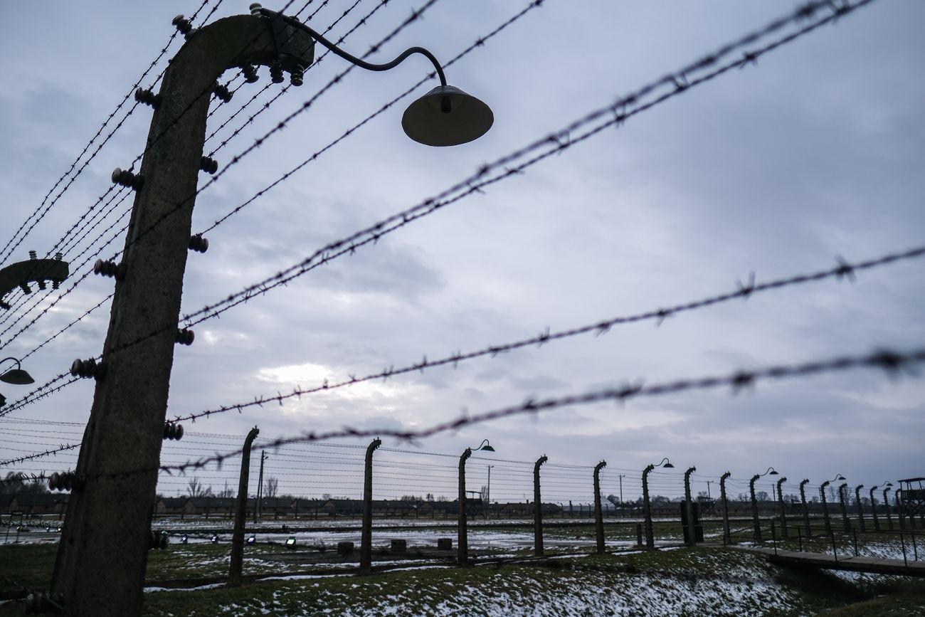 How Magda Hellinger saved lives in the Holocaust