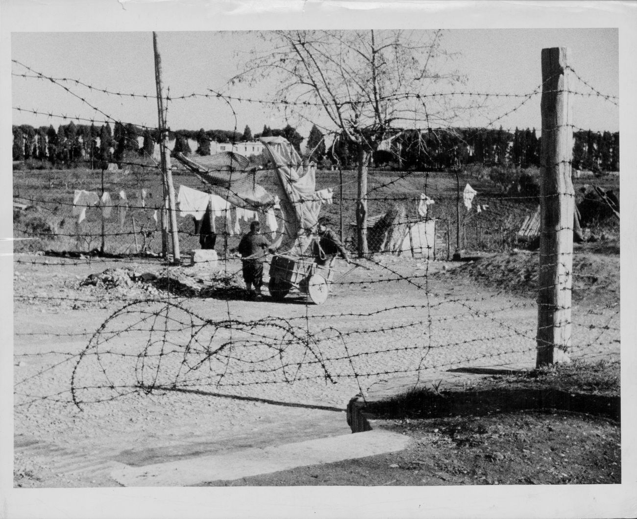 David Nasaw chronicles the post-Holocaust displaced