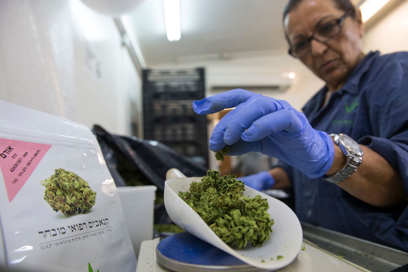 Medical Marijuana Companies Use Israeli Testing Ground
