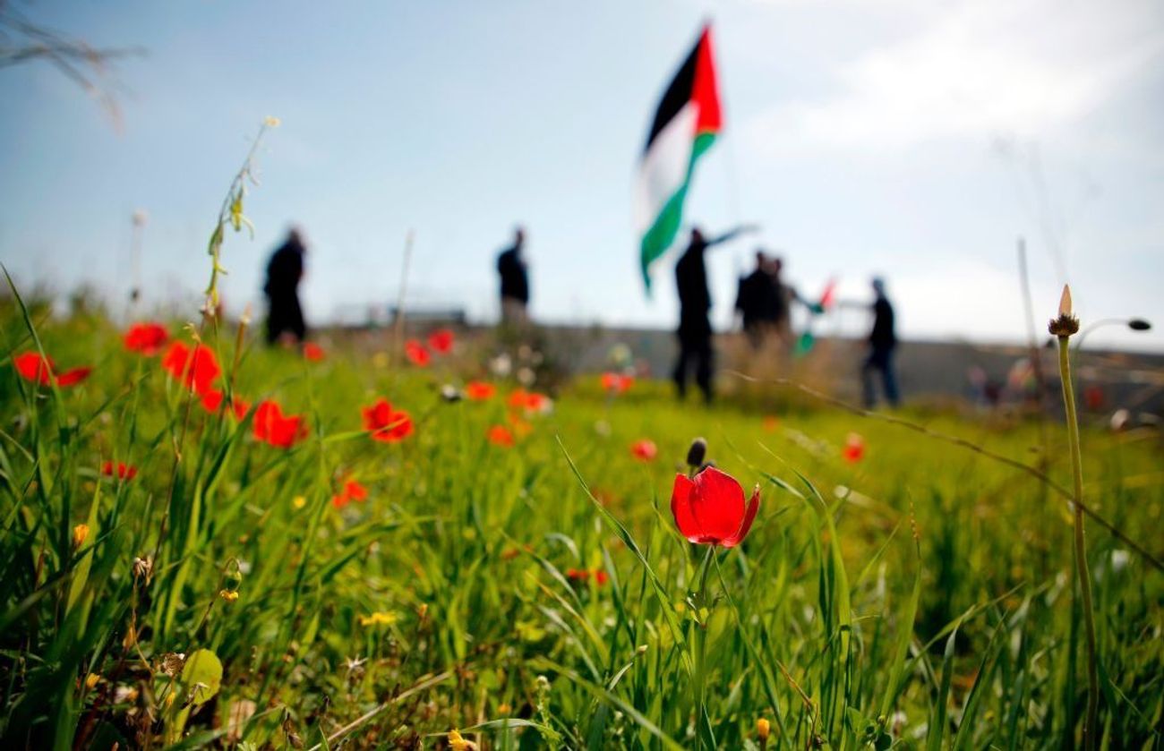 Ed Robin – The Forward