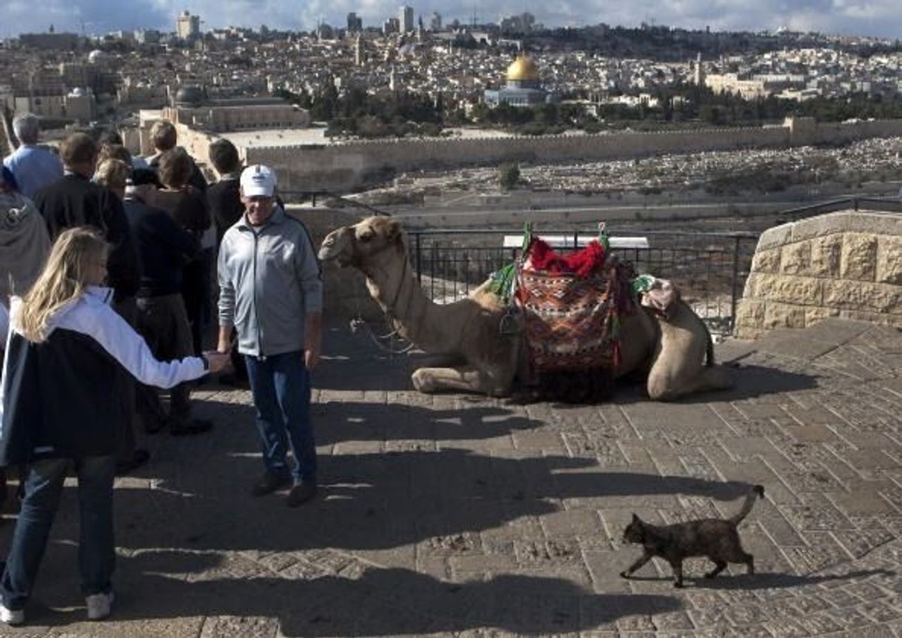 The 5 Weirdest Israel Animal-Related Conspiracy Theories Out There ...