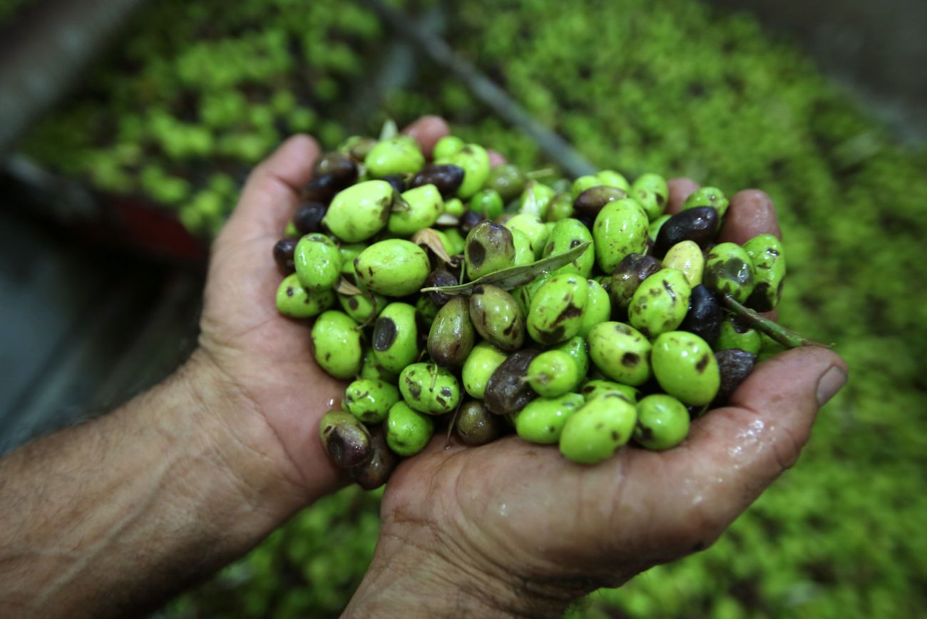 Europe Pushes Ahead With Labels for Settlement Products – The Forward