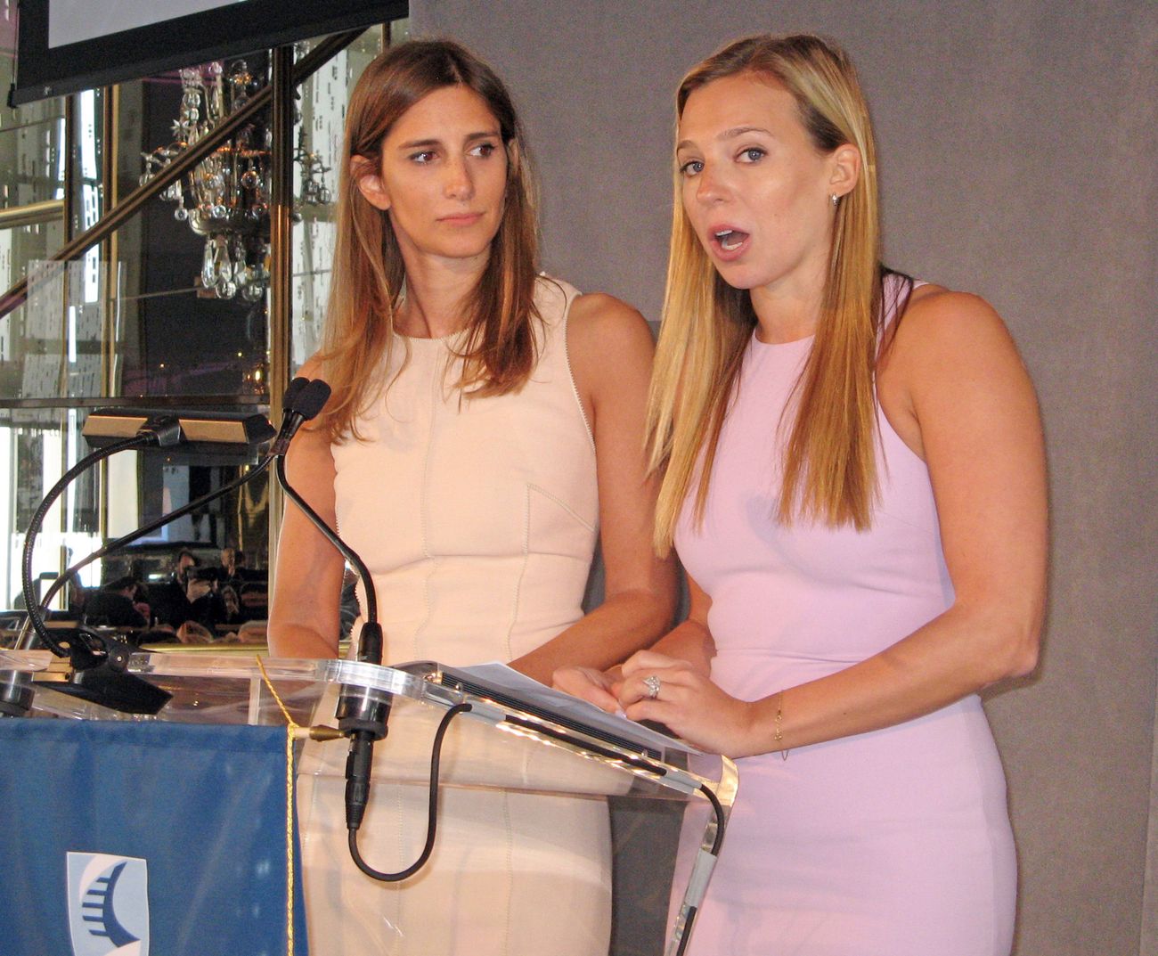 Clive Davis and theSkimm Honored at Einstein College Of Medicine Women ...