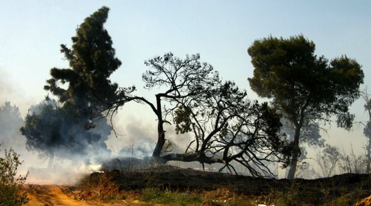 Israel's Chief Rabbis Telling Public to Pray for Rain During Dry Winter ...