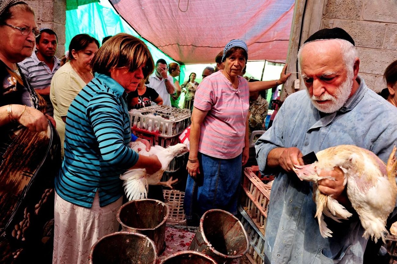 What Is Kapparot Ritual And Is It Ethical