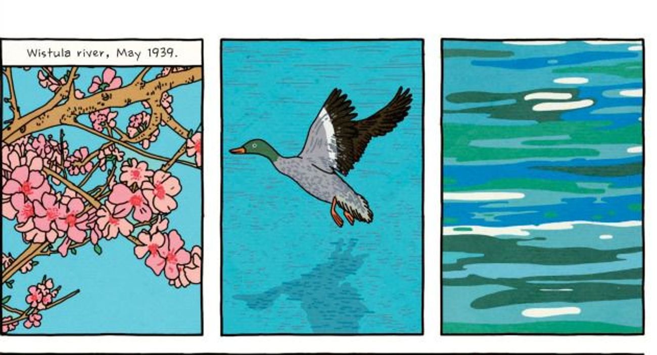 Israeli Graphic Novelist Rutu Modan Draws On Her Family's Secret ...