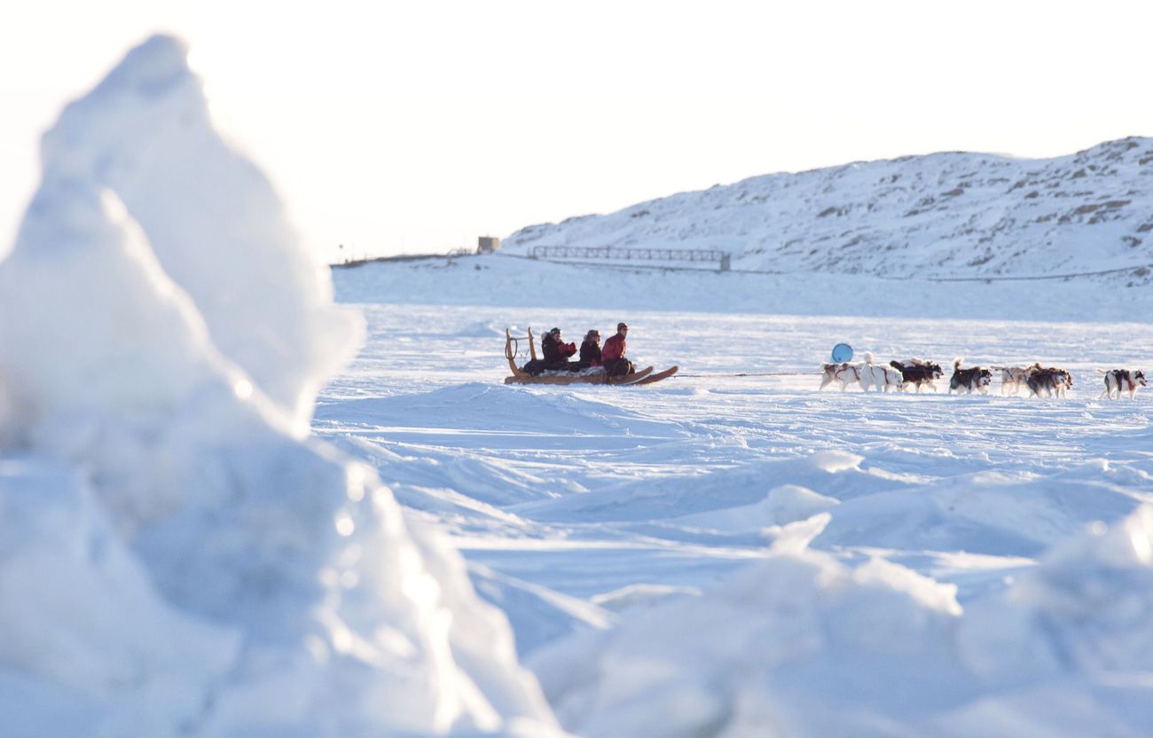 Israeli Sledder Erik Claster Follows His North Star to the Arctic