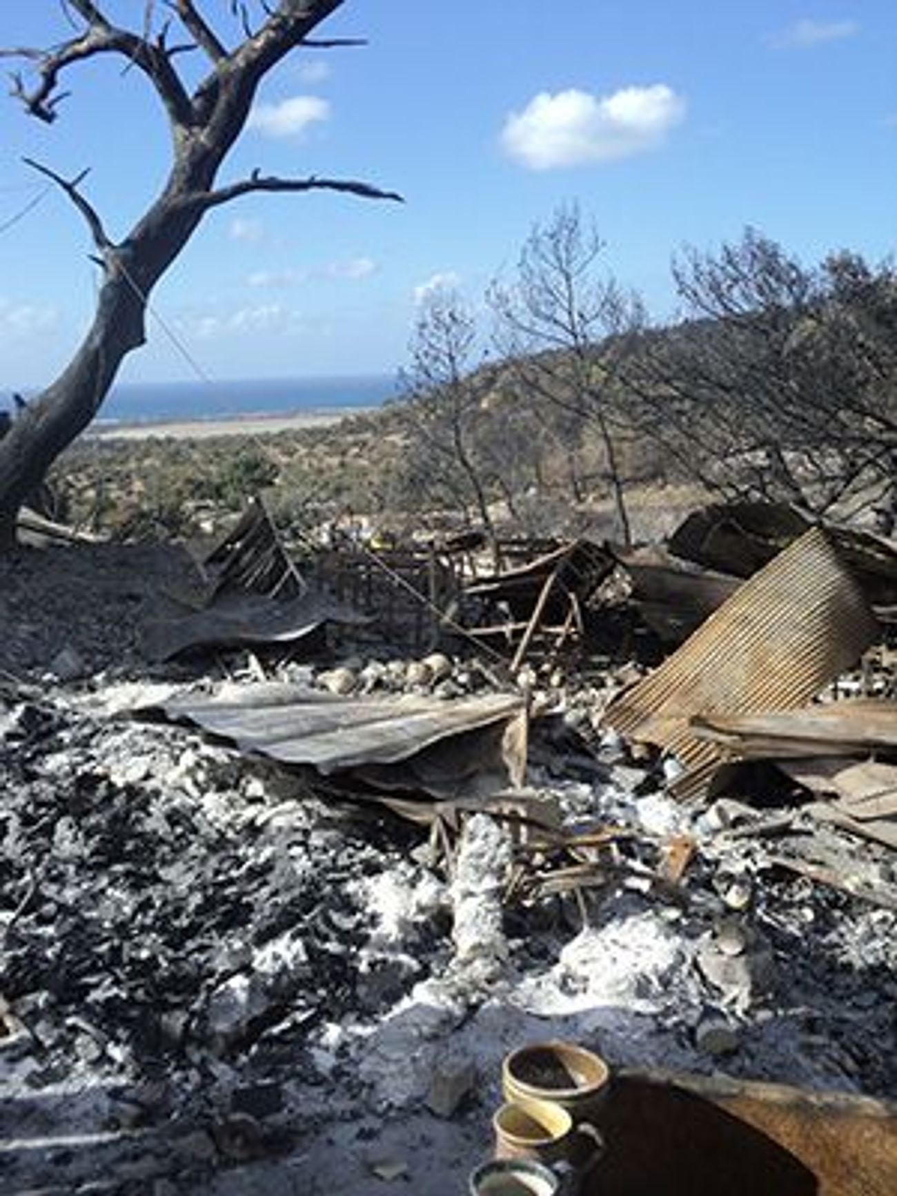 Israel’s Worst-Ever Fire Destroys Village’s Art and Music – The Forward