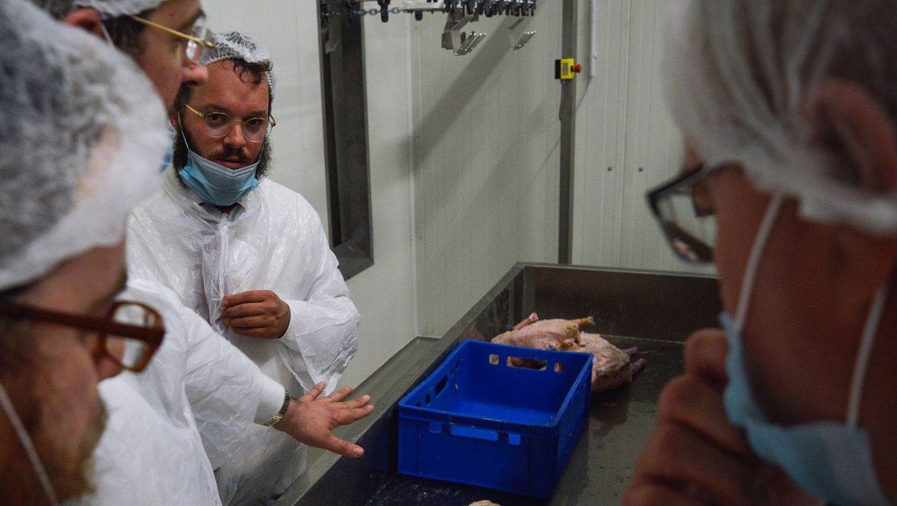 An EU ruling on kosher slaughter tells rabbis how to go about their ...