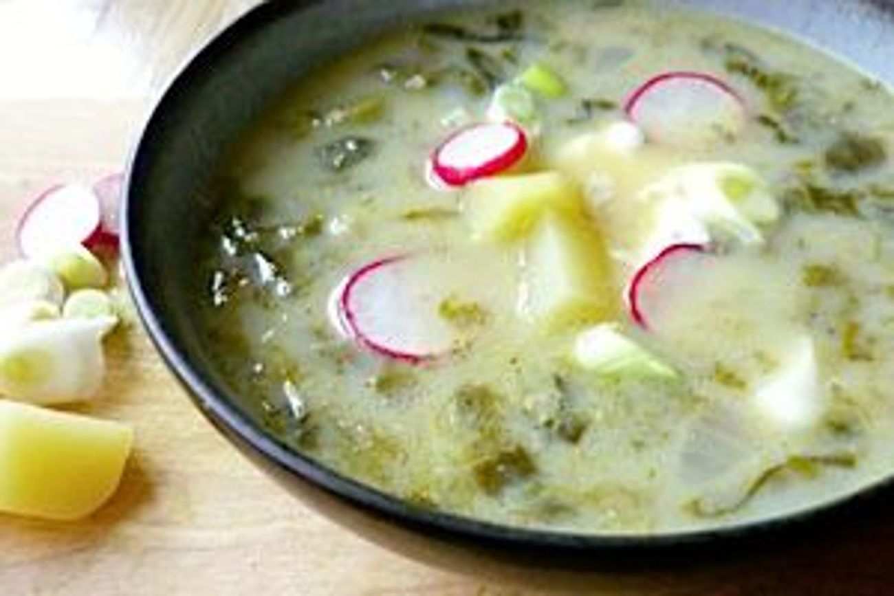 Six Soups To Cool Down With This Week – The Forward