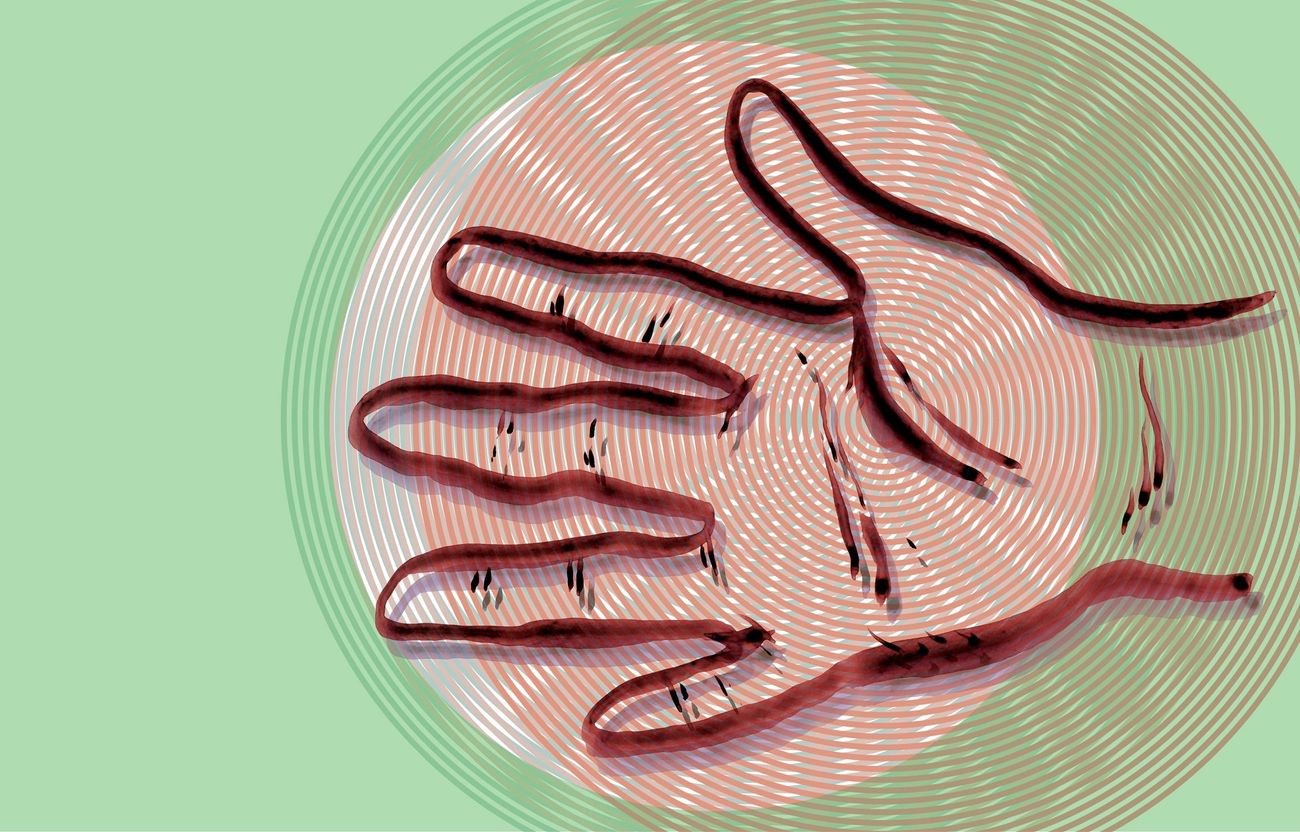 Schnorrers And How They Got To Be That Way