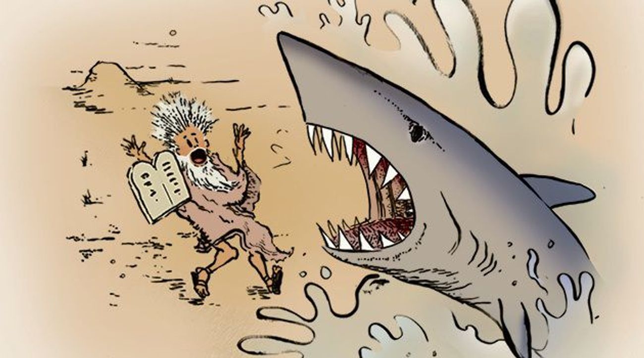 It's Jews vs. Jaws This Month on the Discovery Channel – The Forward