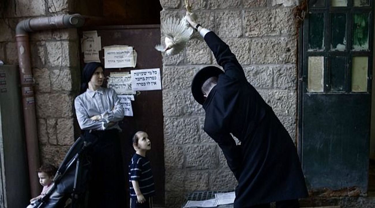 Swing a Fish for Kapparot – The Forward