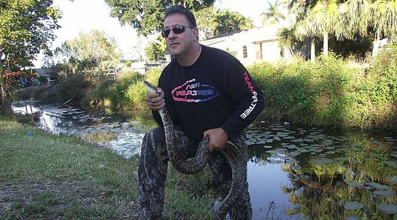 The Only Jewish Burmese Python Hunter in Florida – The Forward