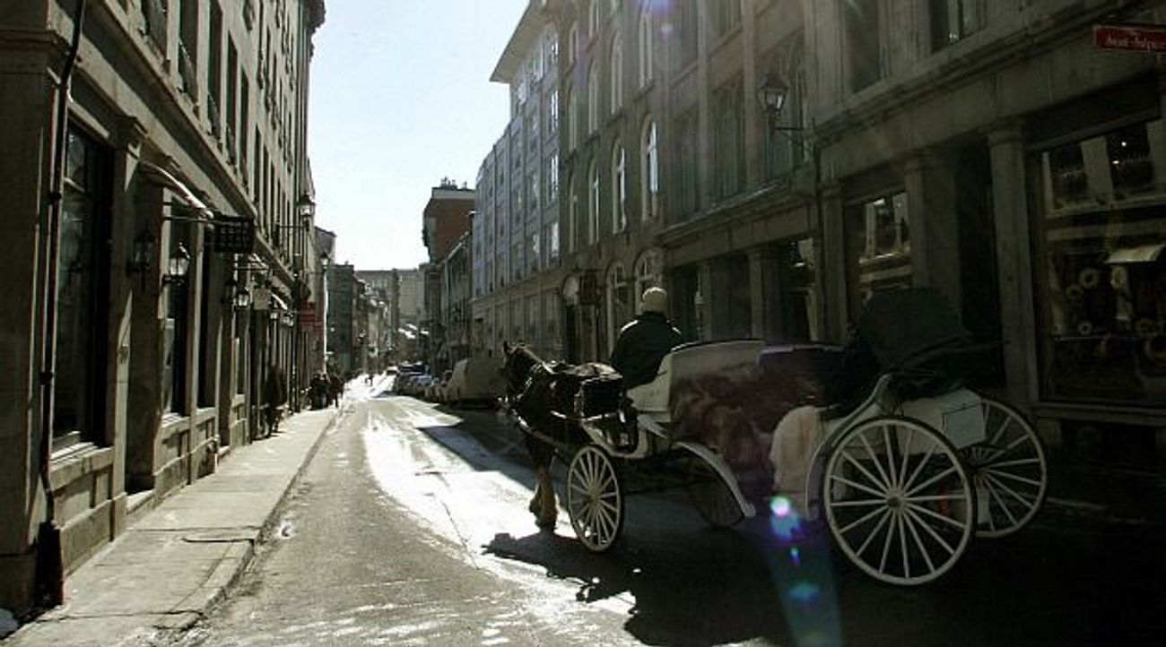 History of Jews in Quebec Explored in New Class – The Forward