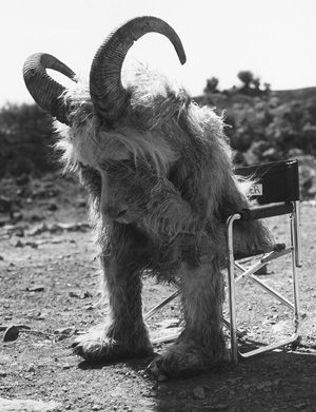 Where the Wild Things Aren’t – The Forward