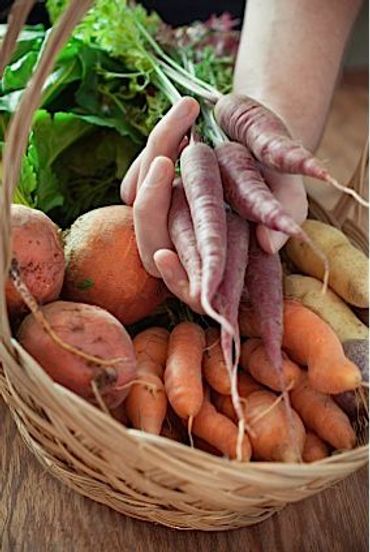 Celebrating Passover With the Bounty of Spring – The Forward