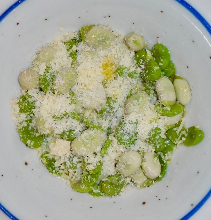 A garden full of fava beans inspires great Italian recipes – The Forward