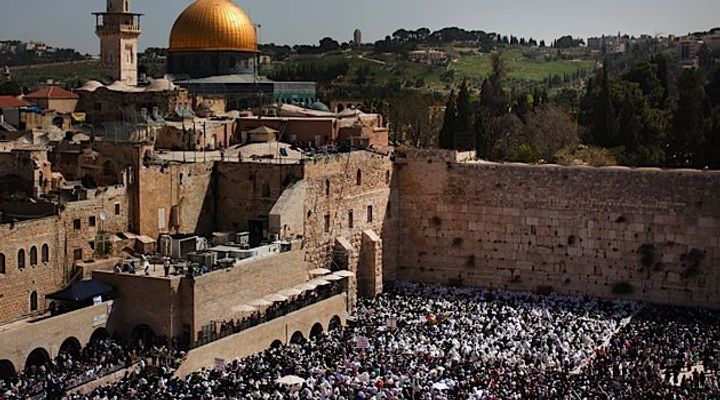 Temple Mount Activists Sacrifice Lamb – The Forward